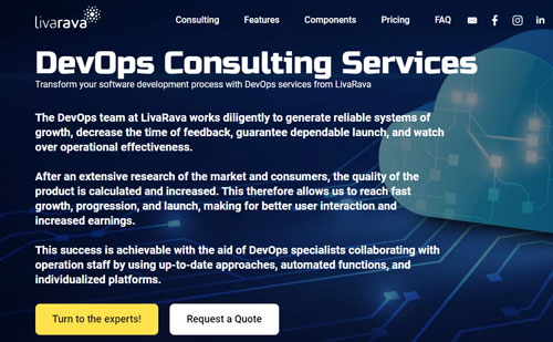 DevOps Consulting, DevOps as a Service | LivaRava